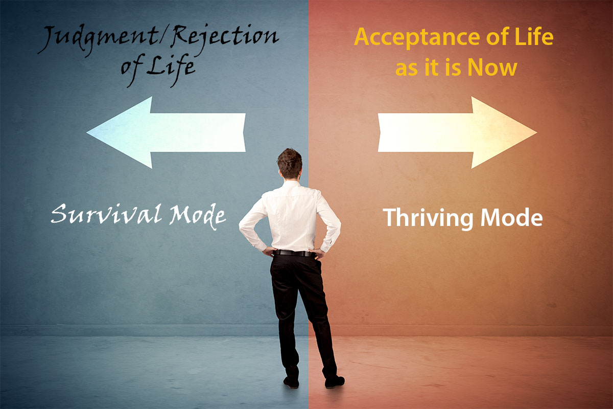 Complete Acceptance - Thrive and Awaken®
