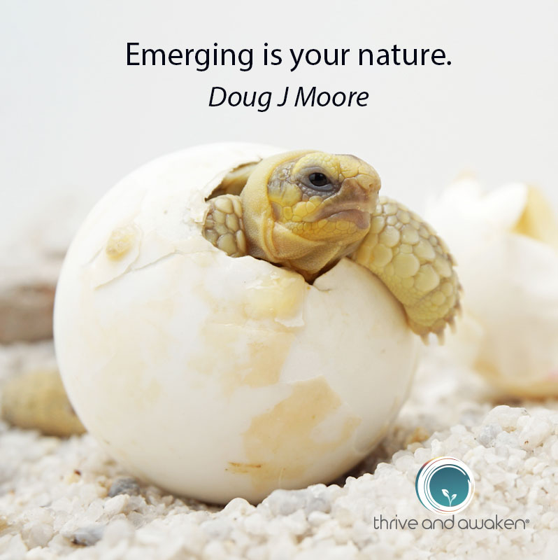 Emerging is your nature - Inspirational Quotes and Memes