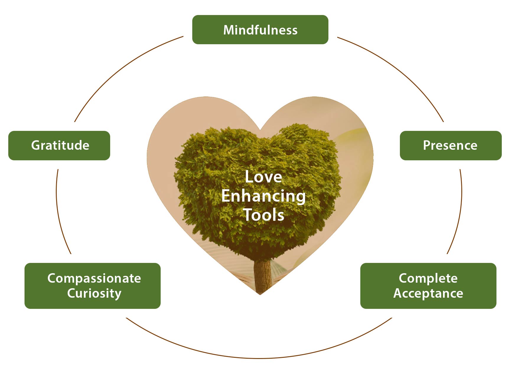 Step 2 - Creating a Holding Environment - Thrive and Awaken®